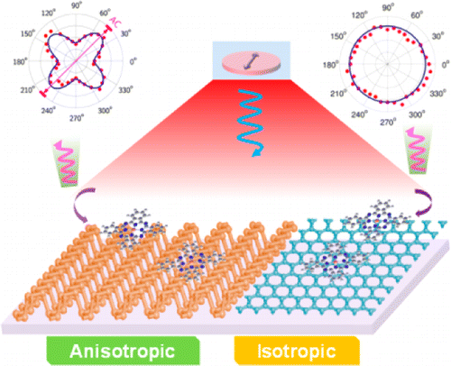 平面内各向异性层状材料上的增强拉曼散射,Journal of the American Chemical Society - X-MOL