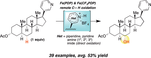 含氮分子中脂肪族 C-H 键的远程氧化,Journal of the American Chemical Society - X-MOL