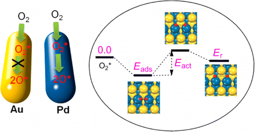 Mechanisms of Oxidase and Superoxide Dismutation-like Activities of ...