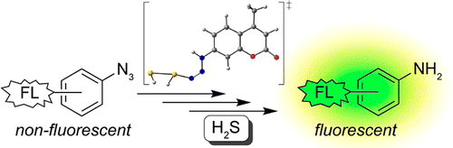 H2S 检测中常用的芳基叠氮化物还原 H2S 介导的机理见解,Journal of the American Chemical Society ...
