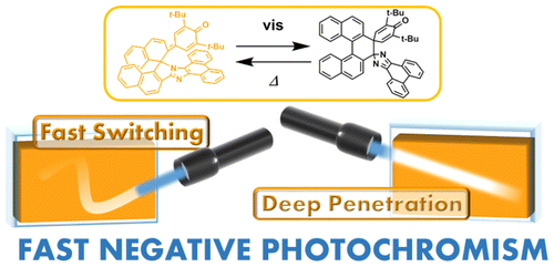 Fast Negative Photochromism of 1,1′-Binaphthyl-Bridged Phenoxyl ...