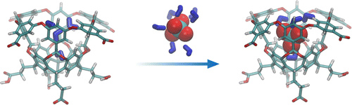Binding Hydrated Anions with Hydrophobic Pockets,Journal of the ...