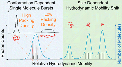 Single Molecule Hydrodynamic Separation Allows Sensitive and ...