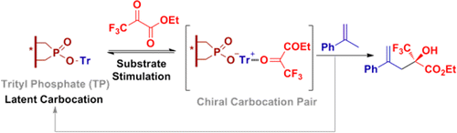 Asymmetric Latent Carbocation Catalysis with Chiral Trityl Phosphate ...