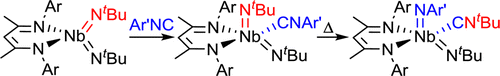 Nitrene Metathesis and Catalytic Nitrene Transfer Promoted by Niobium ...
