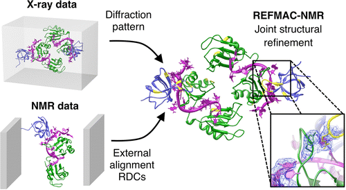 通过联合 X 射线和 NMR 精炼蛋白质-RNA 复合结构提高准确性,Journal of the American Chemical ...