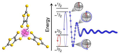 Employing Forbidden Transitions as Qubits in a Nuclear Spin-Free ...