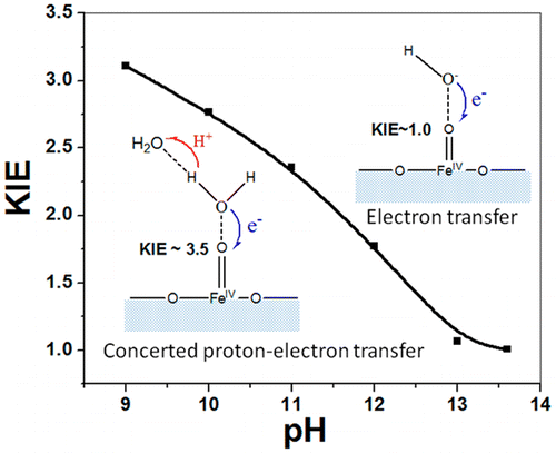 Pivotal Role and Regulation of Proton Transfer in Water Oxidation on ...
