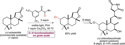 Site-Selective Aliphatic C–H Chlorination UsingN-Chloroamides Enables a ...