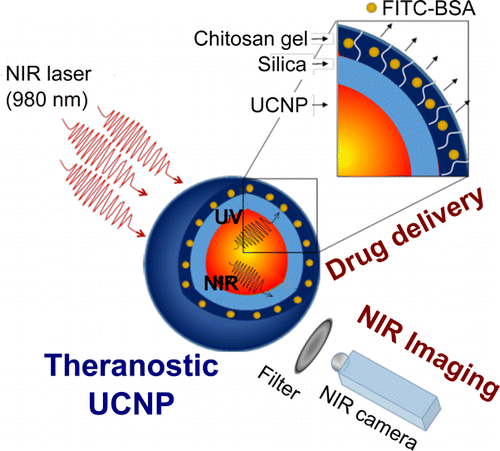 Photocleavable Hydrogel-Coated Upconverting Nanoparticles: A Multifunctional Theranostic ...