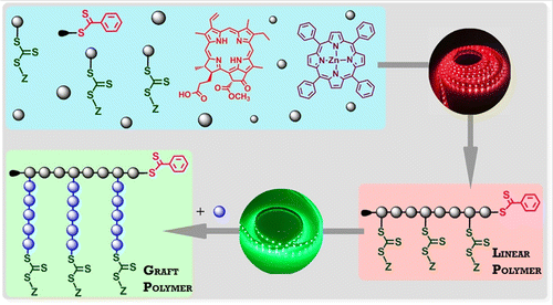 Selective Photoactivation: From a Single Unit Monomer Insertion ...