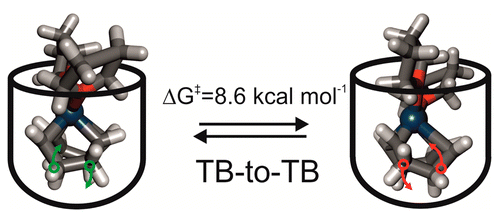 Rebek 的自折叠 Octaamide Cavitand 中 IrI·COD 的分子运动和构象转换,Journal of the ...
