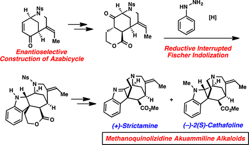 Akuammiline 生物碱 (+)-Strictamine、(-)-2(S)-Cathafoline 和 ...