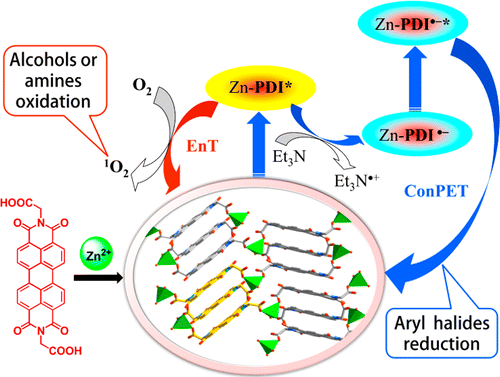 Organized Aggregation Makes Insoluble Perylene Diimide Efficient for ...