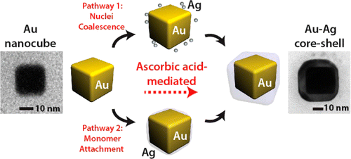 Au-Ag核-壳纳米颗粒形成的实时成像,Journal of the American Chemical Society - X-MOL