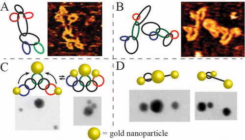 Recent Advances in the Synthesis and Functions of Reconfigurable ...