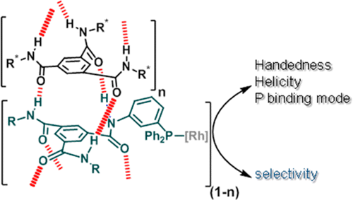 在手性放大的超分子螺旋支架上构建的不对称催化剂的选择性与结构之间的相关性,Journal of the American Chemical ...