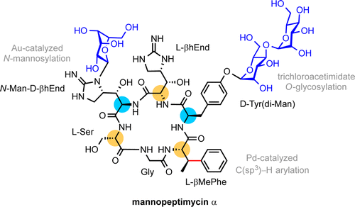 Total Synthesis of Mannopeptimycins α and β,Journal of the American ...