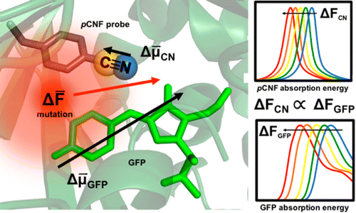 Nitrile Probes of Electric Field Agree with Independently Measured ...