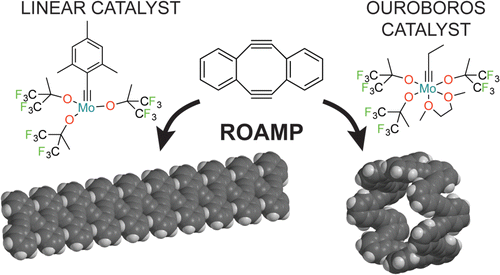 Initiator Control of Conjugated Polymer Topology in Ring-Opening Alkyne ...