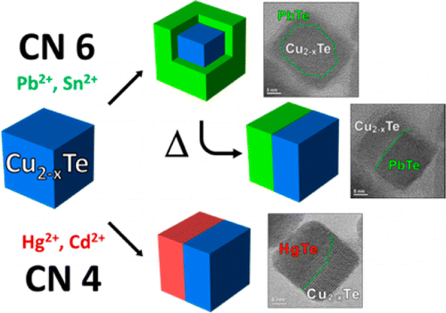 Influence of the Ion Coordination Number on Cation Exchange Reactions ...