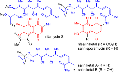 Rifamycin Biosynthetic Congeners: Isolation and Total Synthesis of ...