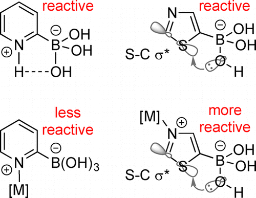 Protodeboronation of Heteroaromatic, Vinyl, and Cyclopropyl Boronic ...