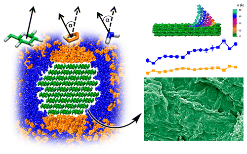 Local Phase Separation of Co-solvents Enhances Pretreatment of Biomass for Bioenergy ...