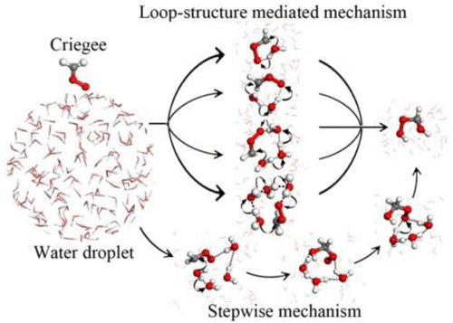 New Mechanistic Pathways for Criegee–Water Chemistry at the Air/Water ...