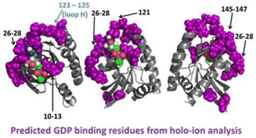 Impact of G12 Mutations on the Structure of K-Ras Probed by Ultraviolet ...