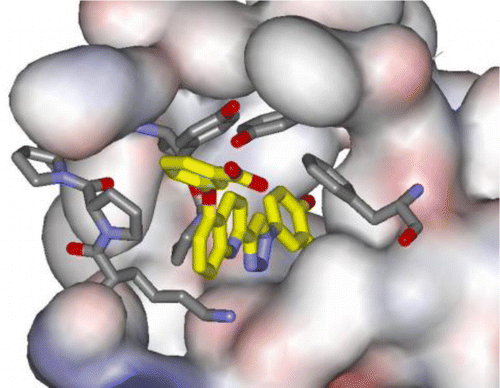 A Fluorescence Polarization Assay for Binding to Macrophage Migration ...
