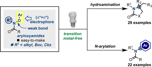 Visible-Light-Mediated Synthesis of Amidyl Radicals: Transition-Metal ...