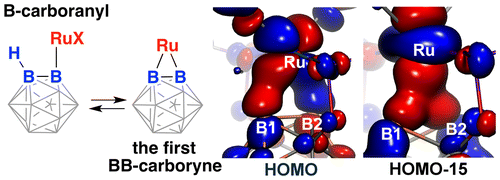 钌的 （BB）-Carboryne 络合物：通过单个金属中心的双 B-H 活化合成,Journal of the American ...