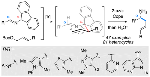 Catalytic Asymmetric Umpolung Allylation of Imines,Journal of the ...