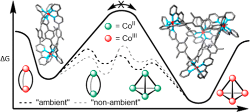 Orthogonal Selection and Fixing of Coordination Self-Assembly Pathways for Robust Metallo ...