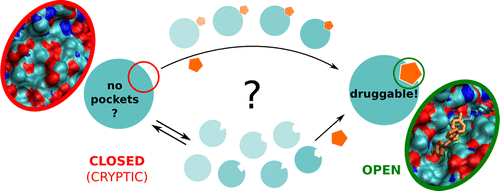 Understanding Cryptic Pocket Formation in Protein Targets by Enhanced ...