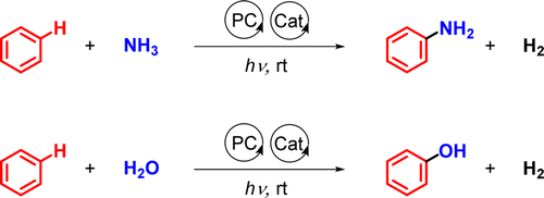 Photocatalytic Hydrogen-Evolution Cross-Couplings: Benzene C–H ...