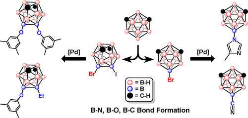 B–N, B–O, and B–CN Bond Formation via Palladium-Catalyzed Cross ...