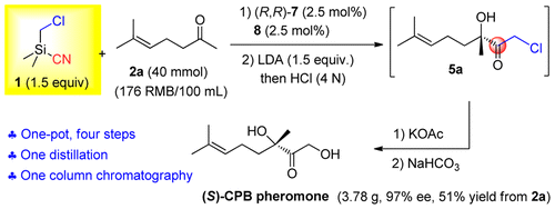 Me2(CH2Cl)SiCN: Bifunctional Cyanating Reagent for the Synthesis of ...