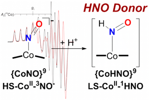 CoII-NO-复合物的合成及其作为硝酰基来源的反应性,Journal of the American Chemical Society ...