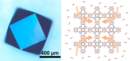 Diffusion of CO2in Large Crystals of Cu-BTC MOF,Journal of the American ...
