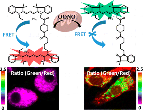 FRET-Based Mito-Specific Fluorescent Probe for Ratiometric Detection ...