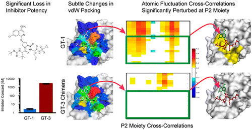 基因3型丙型肝炎NS3/4A蛋白酶耐药性的分子和动力学机制,Journal of the American Chemical Society ...