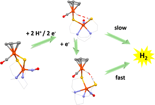 Hemilabile桥接硫醇盐作为仿生H2生产电催化剂中的质子穿梭,Journal of the American Chemical ...