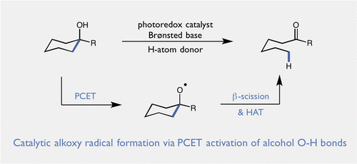 Catalytic Ring-Opening of Cyclic Alcohols Enabled by PCET Activation of ...