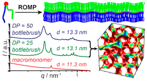 Graft-through Synthesis and Assembly of Janus Bottlebrush Polymers from ...