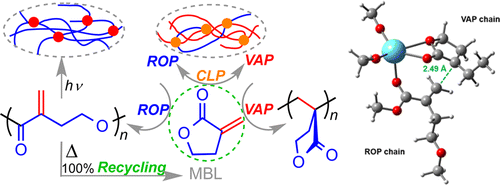 The Quest for Converting Biorenewable Bifunctional α-Methylene-γ ...