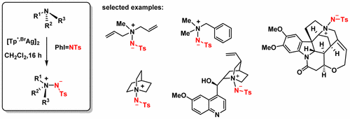 Functional-Group-Tolerant, Silver-Catalyzed N–N Bond Formation by ...