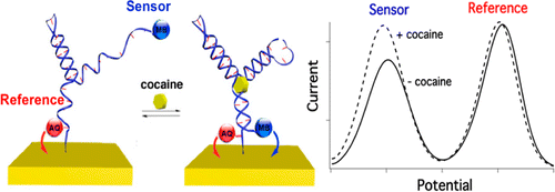 Dual-Reporter Drift Correction To Enhance the Performance of ...