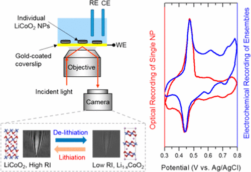电化学循环过程中单个 LiCoO2 纳米粒子的相变和锂离子扩散动力学的光学成像,Journal of the American ...